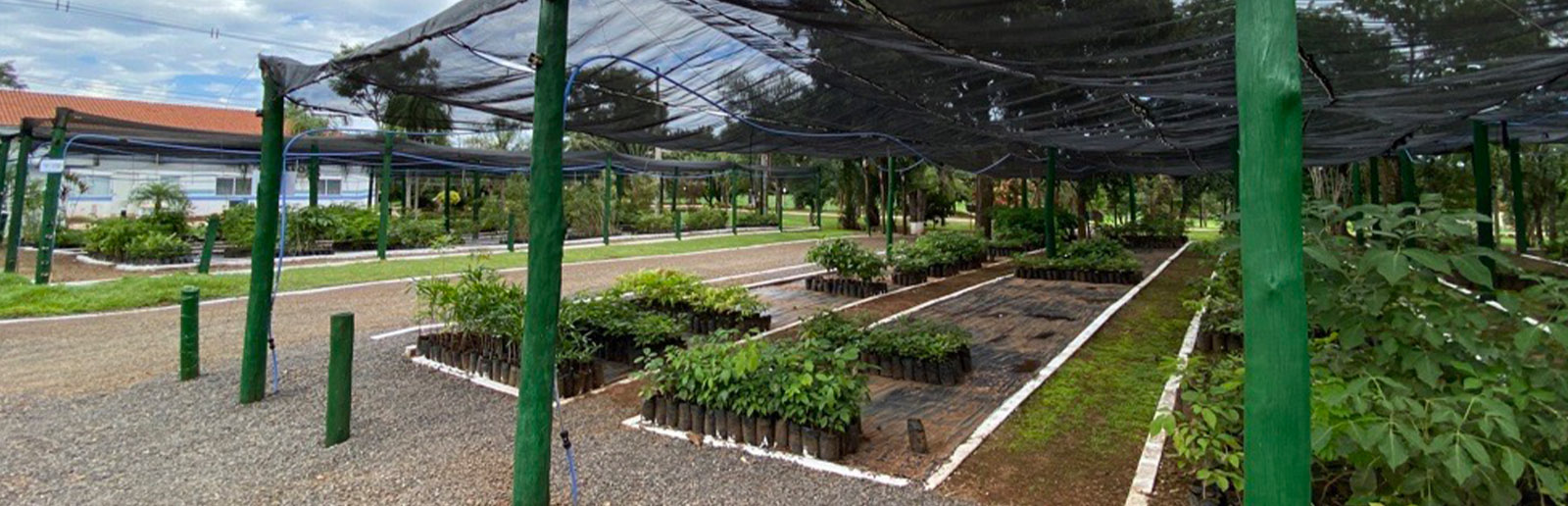 Home - Instituto AEGEA